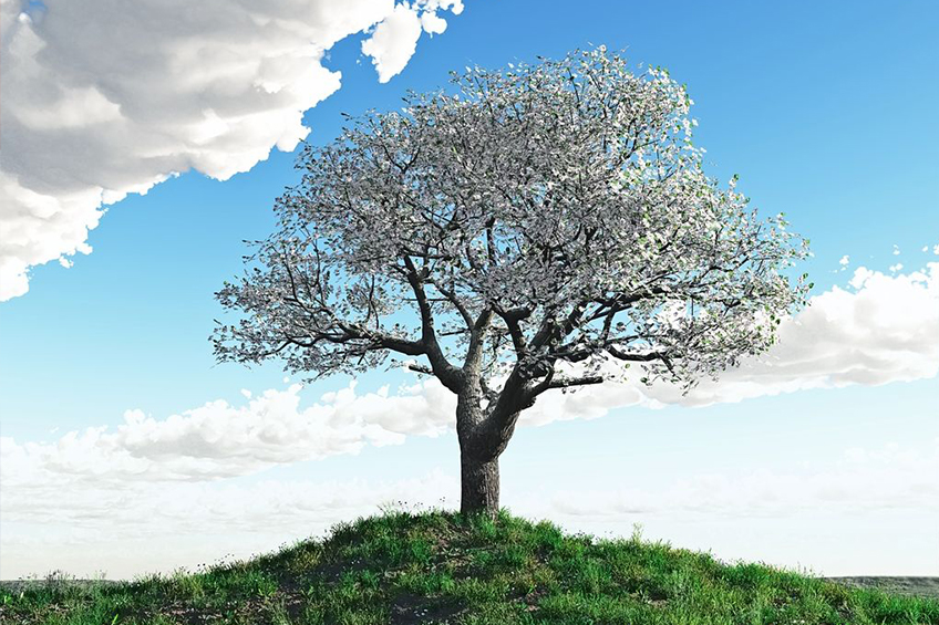 Tuxx - info for efficiency